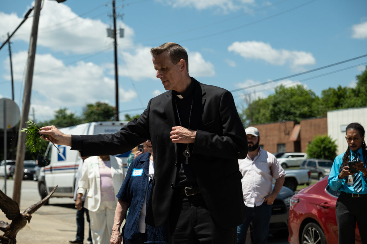 Sheltering - Timothy Paul Schmalz