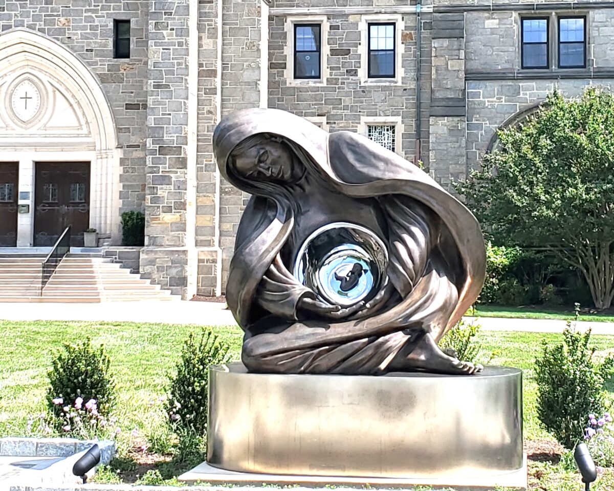 INSTALLATIONS - Timothy Paul Schmalz